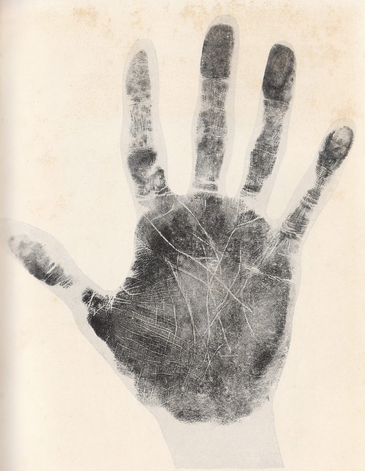 Palmistry – Zen Living Fraser Coast